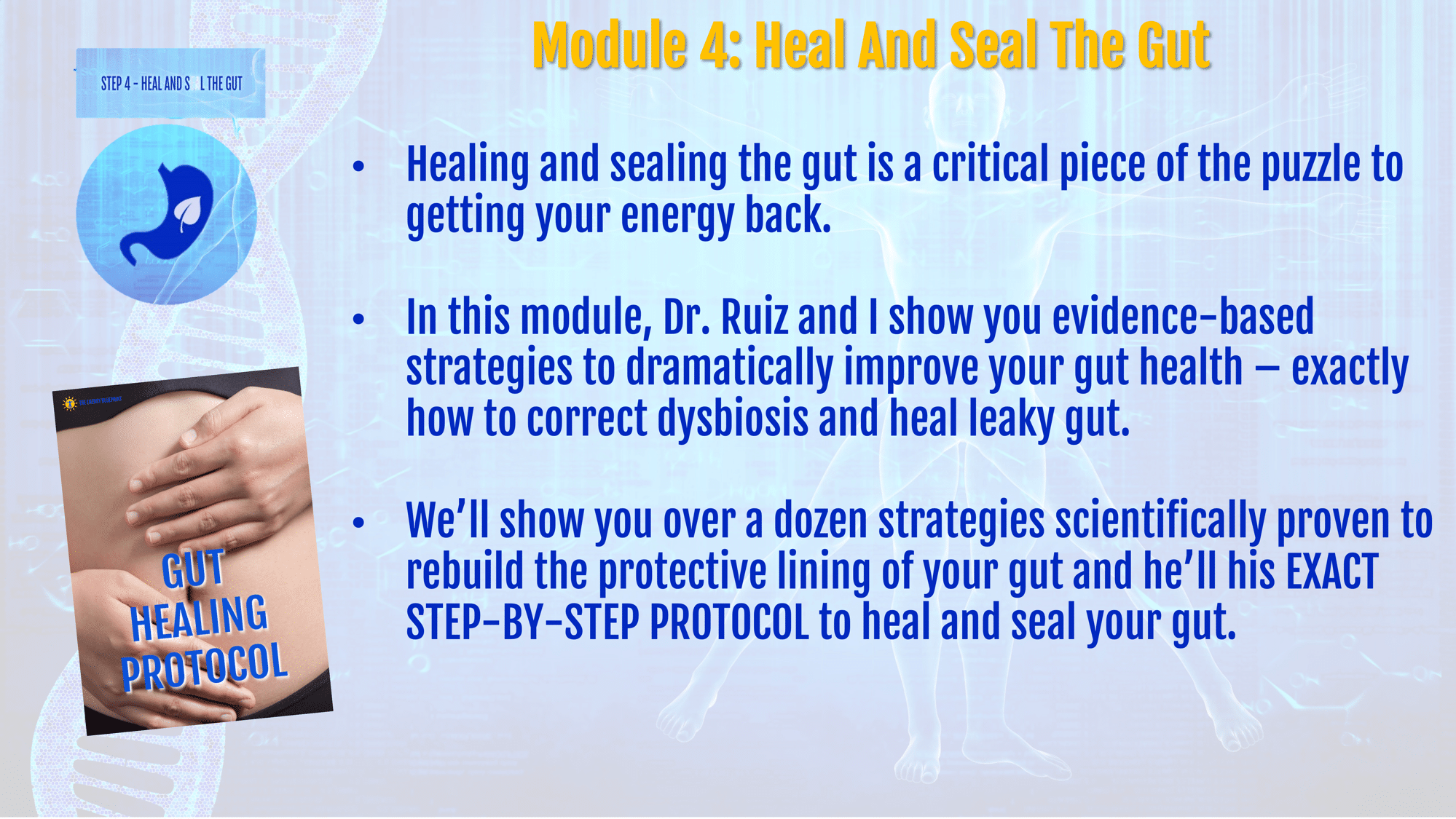 The Energy Blueprint - The Energy Blueprint