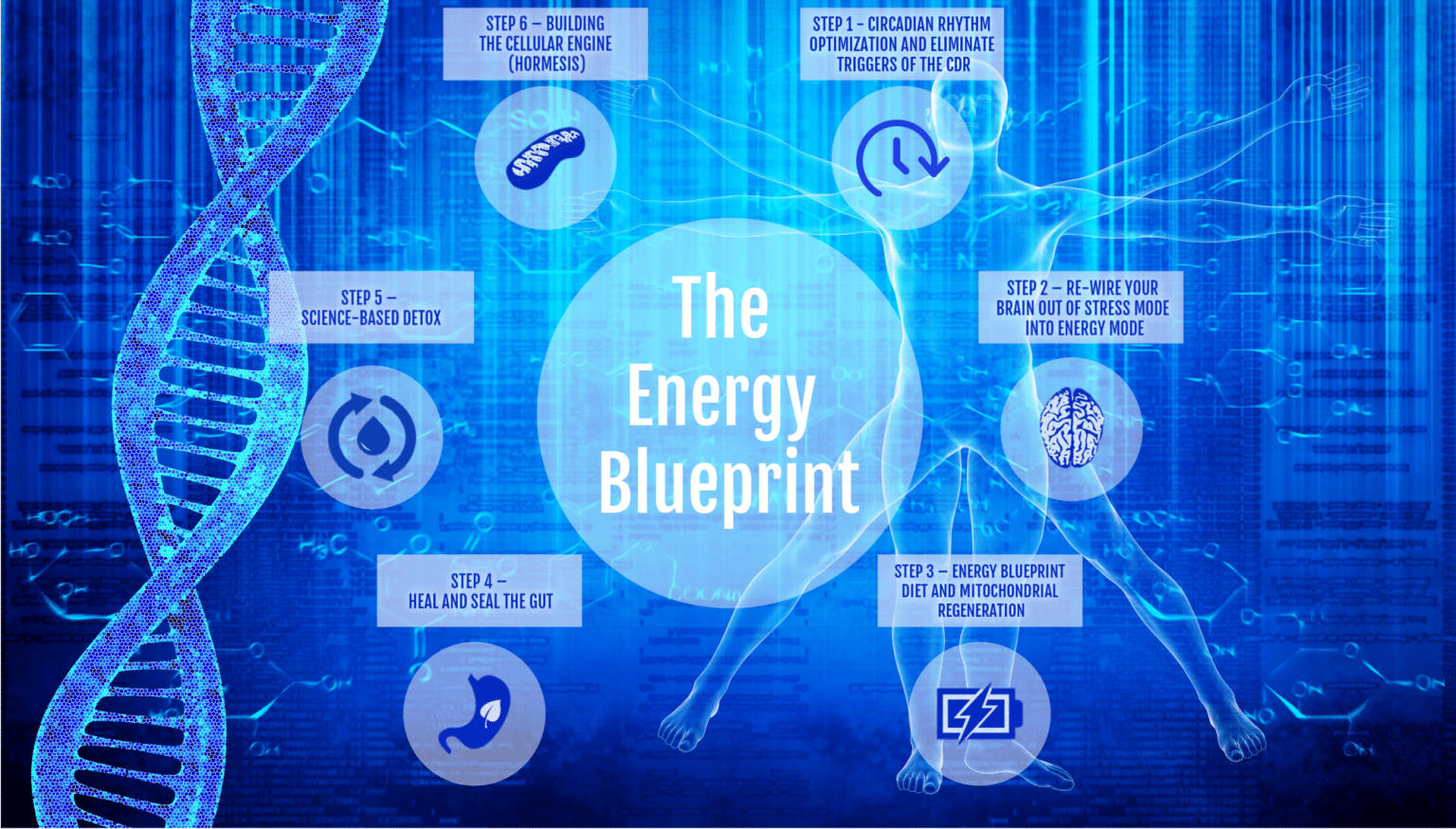 The Energy Blueprint CC V2 - The Energy Blueprint