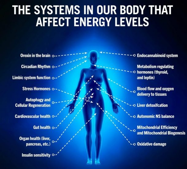 The Energy Blueprint CC V2 - The Energy Blueprint